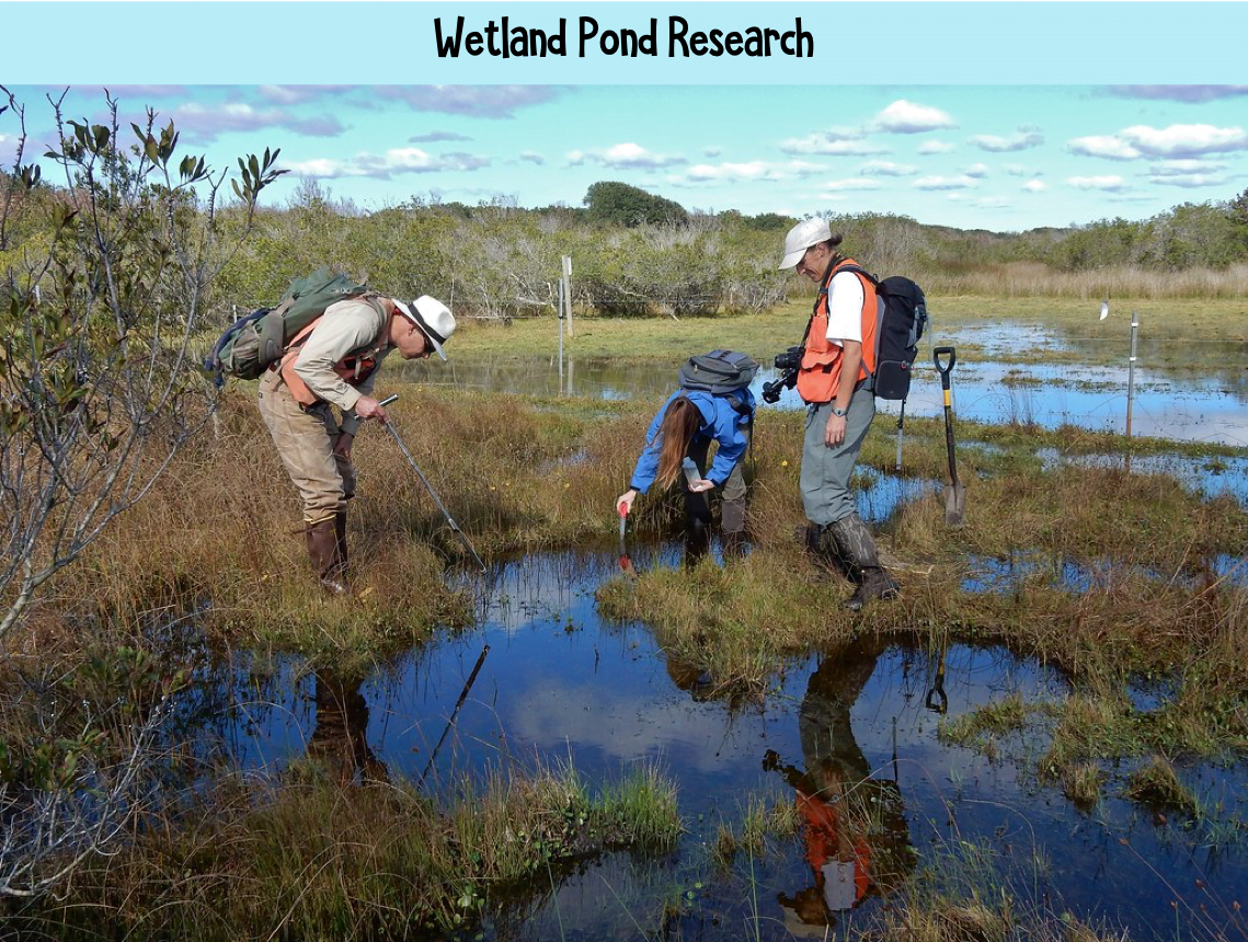 Common Tools a Scientist Uses – Alotl Science